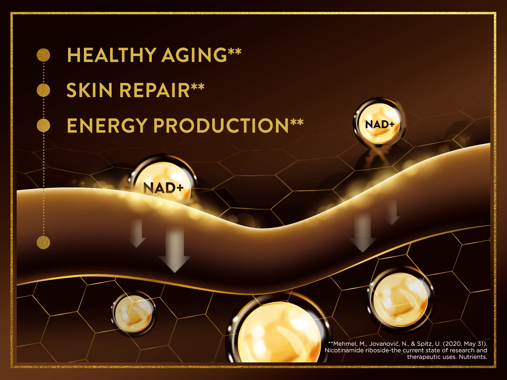What is NAD+? | Swisse