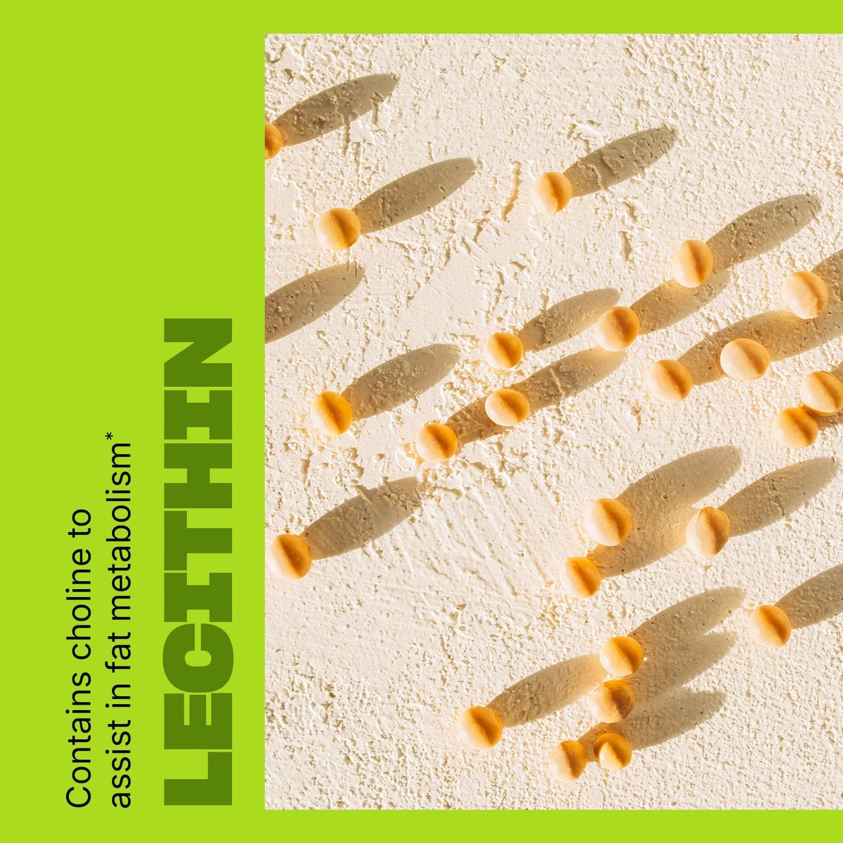 lecithin capsule structure